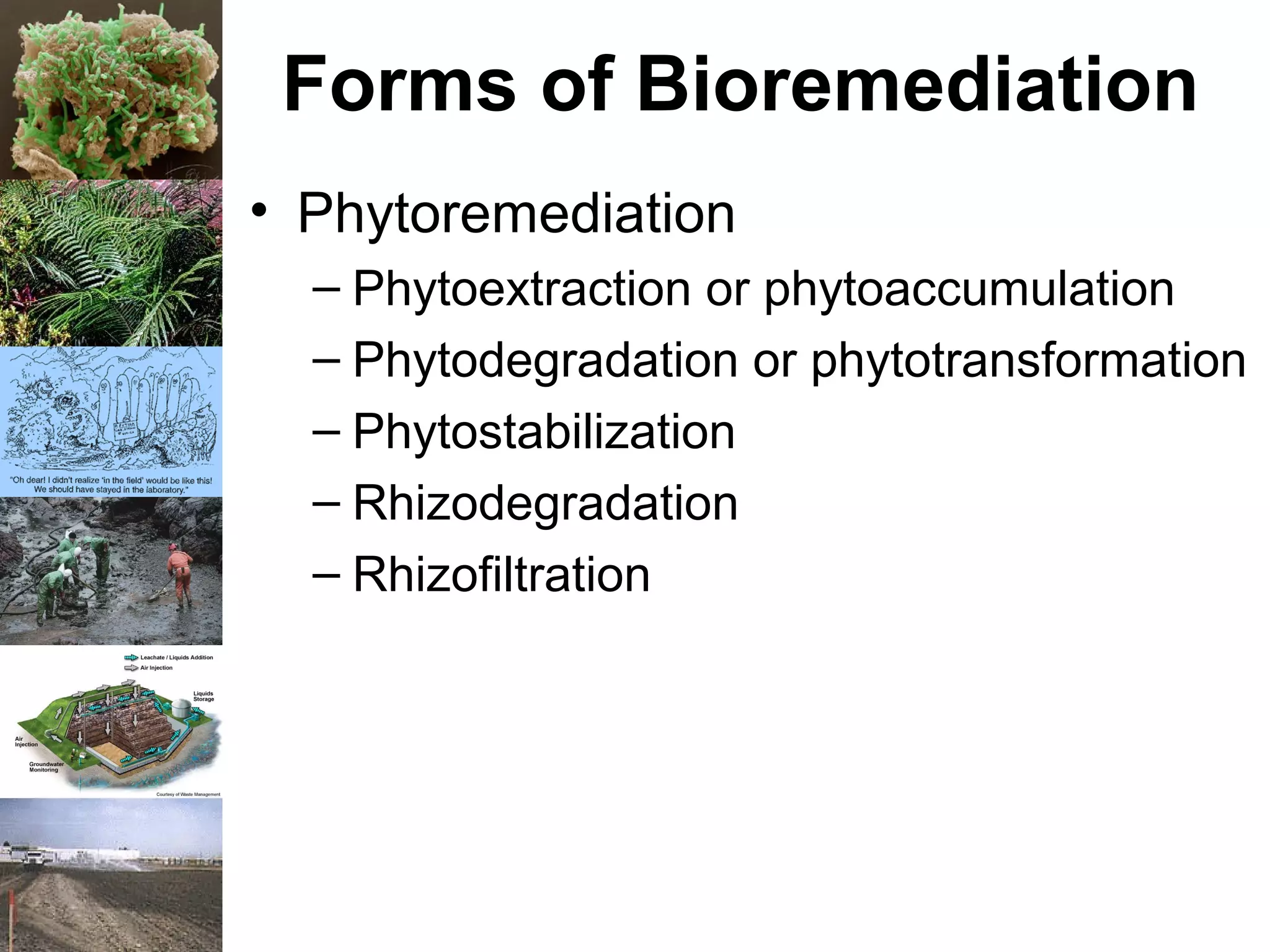 Bioremediation2 | PPT