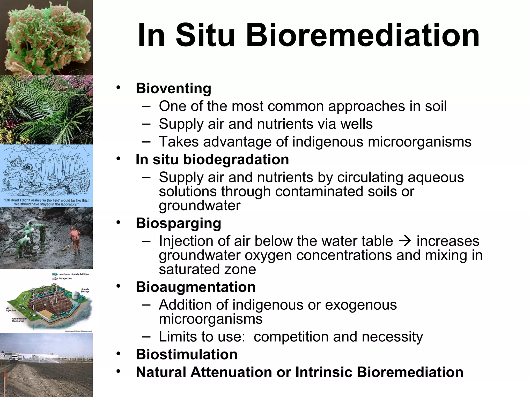 Bioremediation2 | PPT