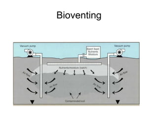 Bioremediation2 | PPT