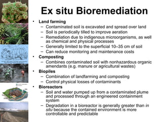 Bioremediation2 | PPT