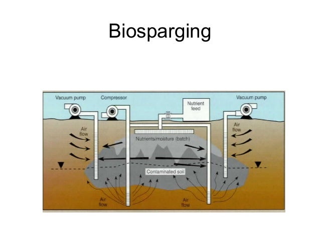 Bioremediation2