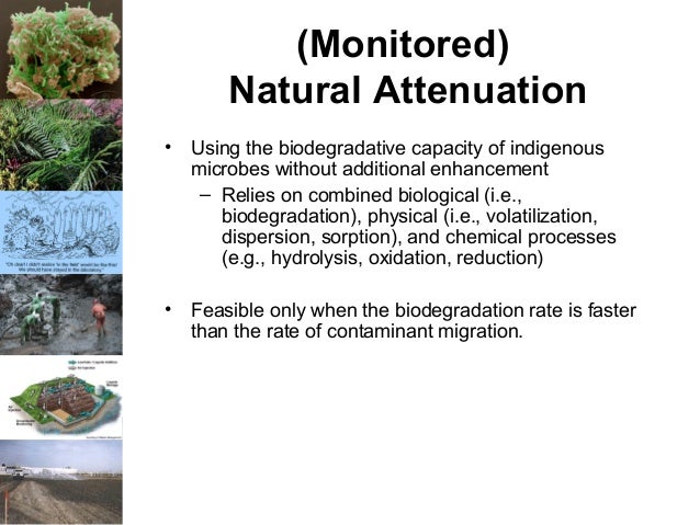 Bioremediation2