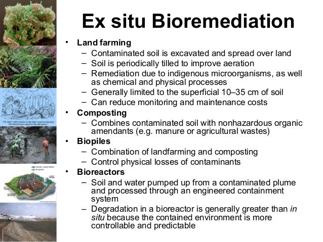 Bioremediation2