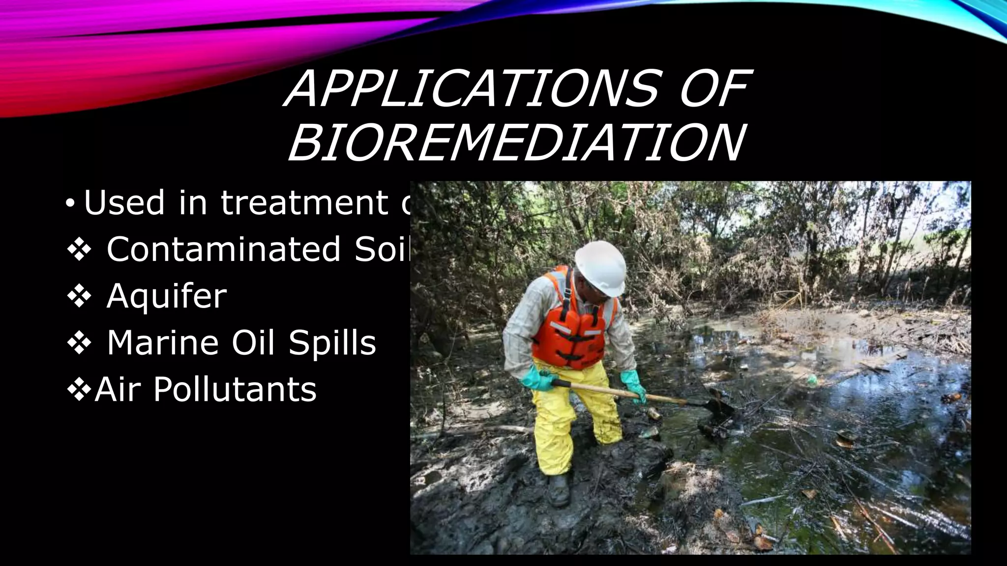 Bioremediation - A METHOD TO SAVE EARTH | PPT
