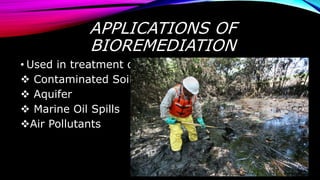 Bioremediation - A METHOD TO SAVE EARTH | PPT