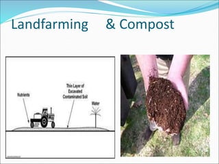Bioremediation | PPT