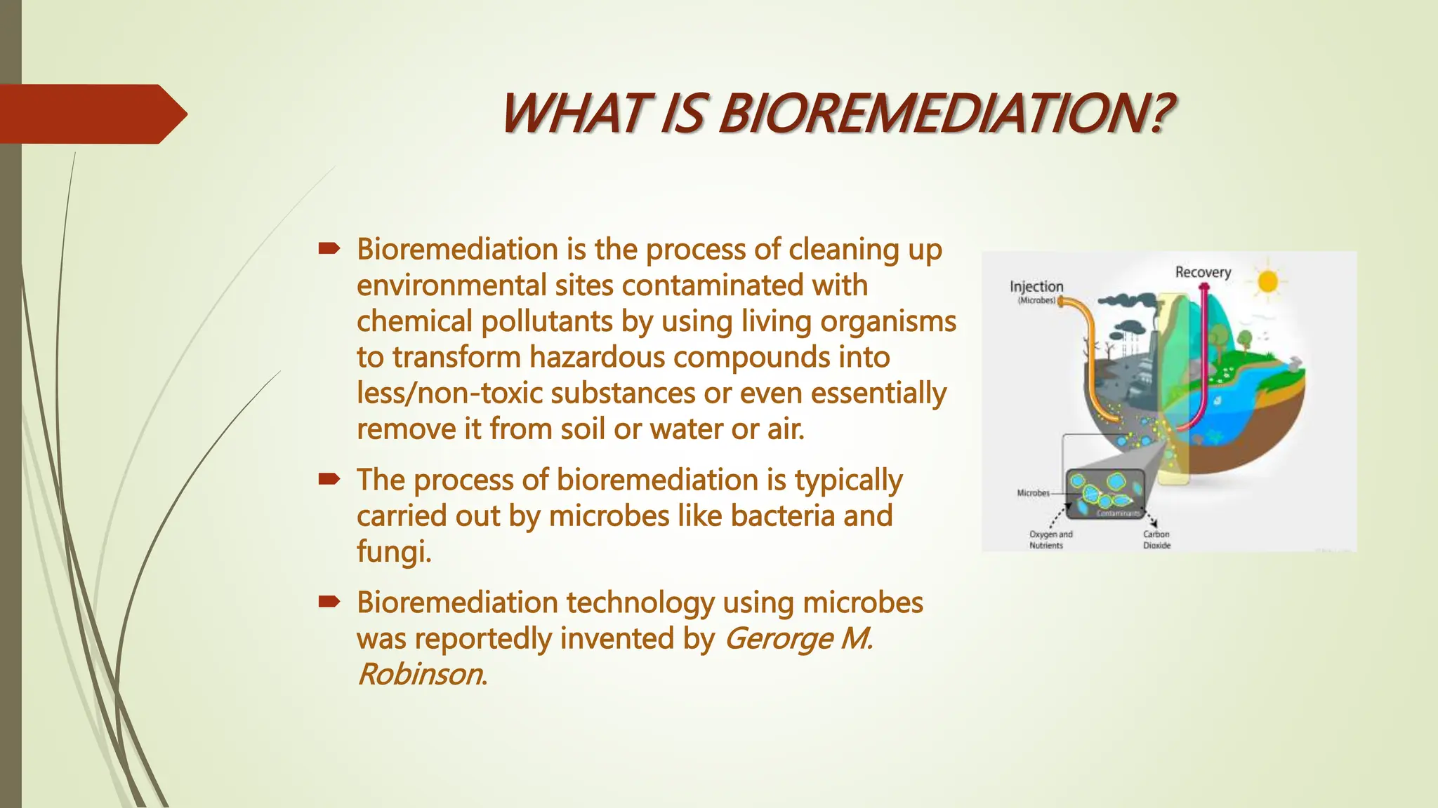 BIOREMEDIATION 2 Bio mod how to make bio mod | PPT