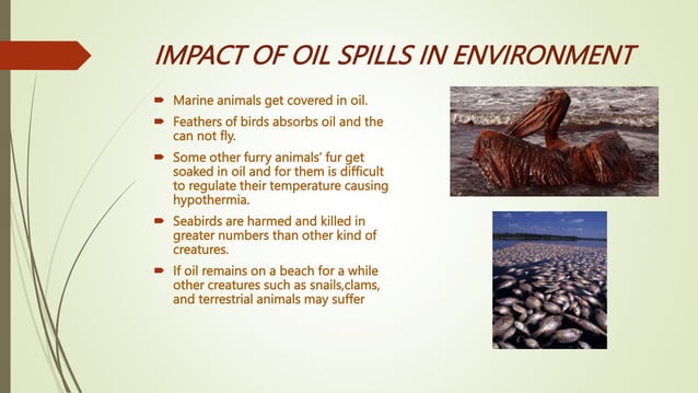 BIOREMEDIATION 2 Bio mod how to make bio mod | PPT