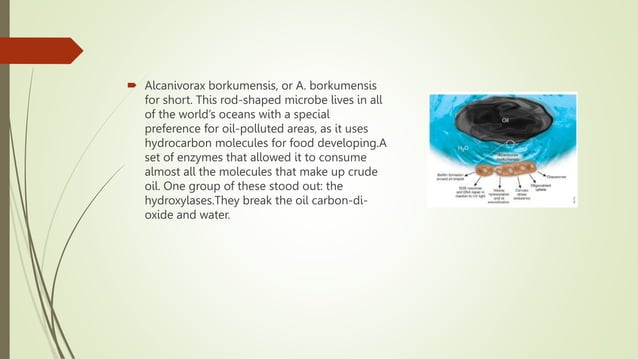 BIOREMEDIATION 2 Bio mod how to make bio mod | PPT