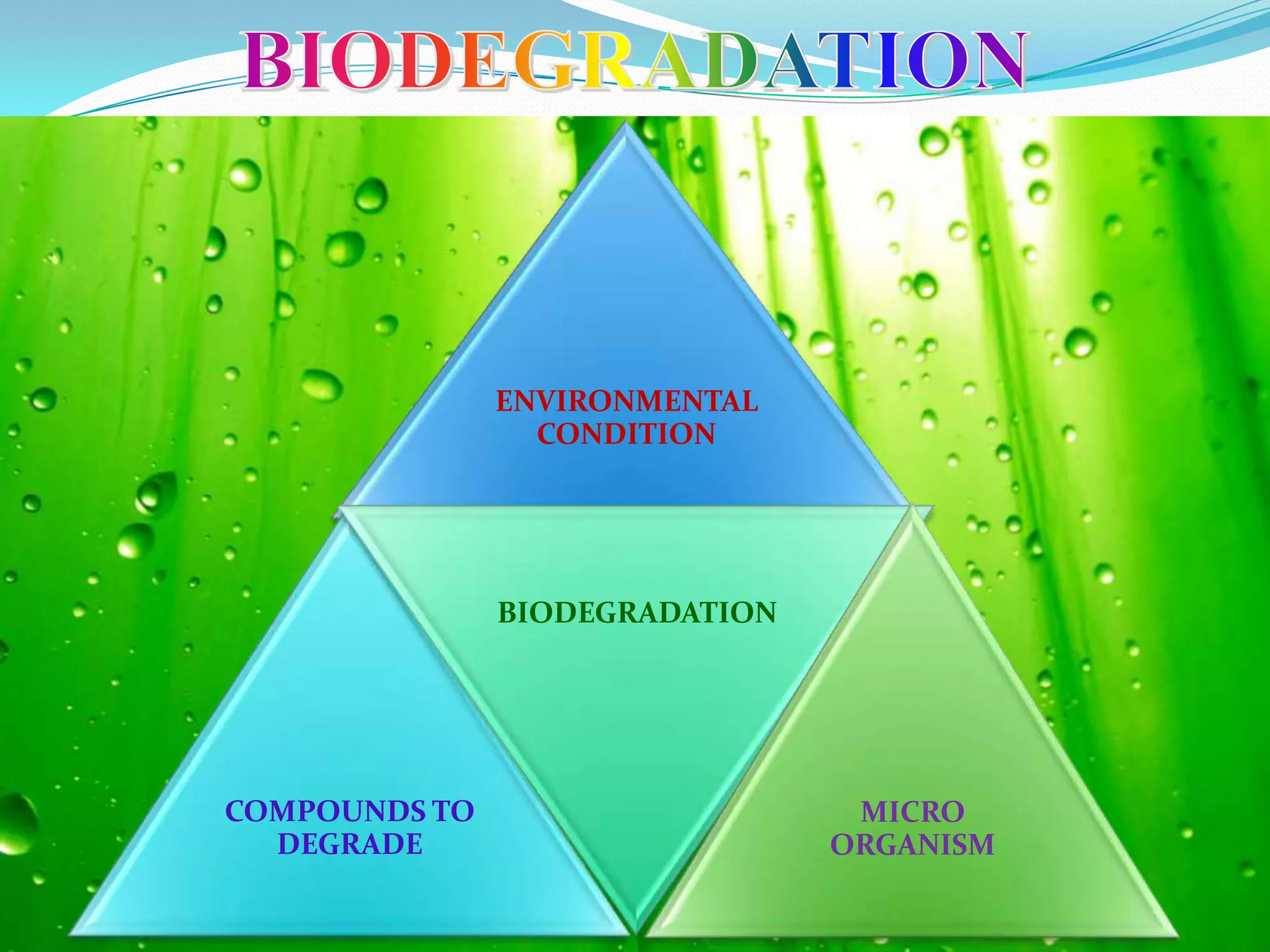 Bioremediation and biodegradation | PPTX