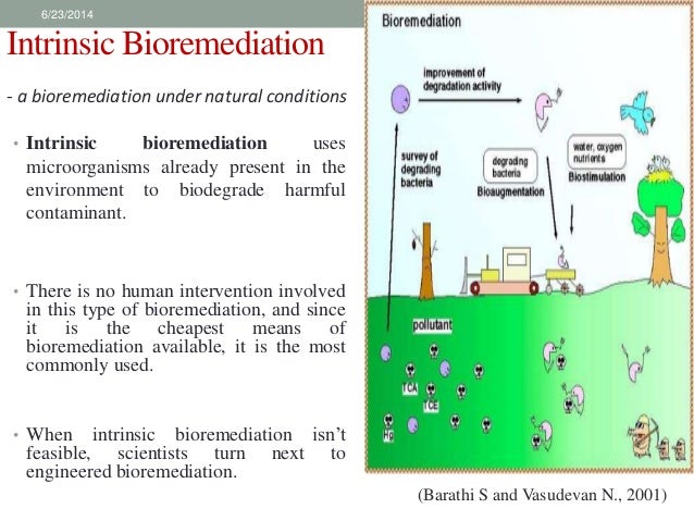 Intrinsic Bioremediation Using Intrinsic Bioremediation For