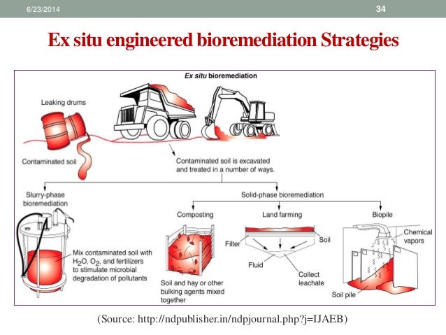 Bioremediation and phytoremediation