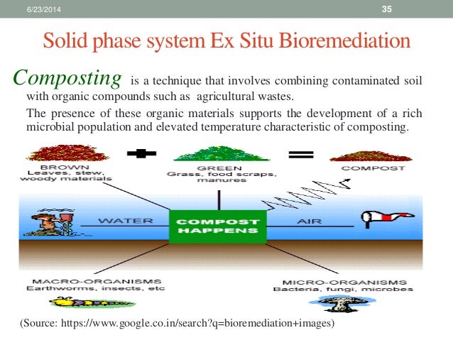 Bioremediation and phytoremediation