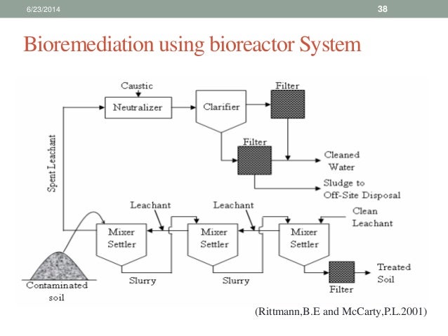 Bioremediation and phytoremediation