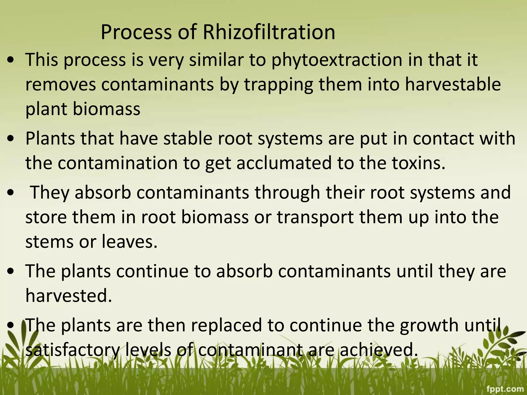 Bioremediation | PPT