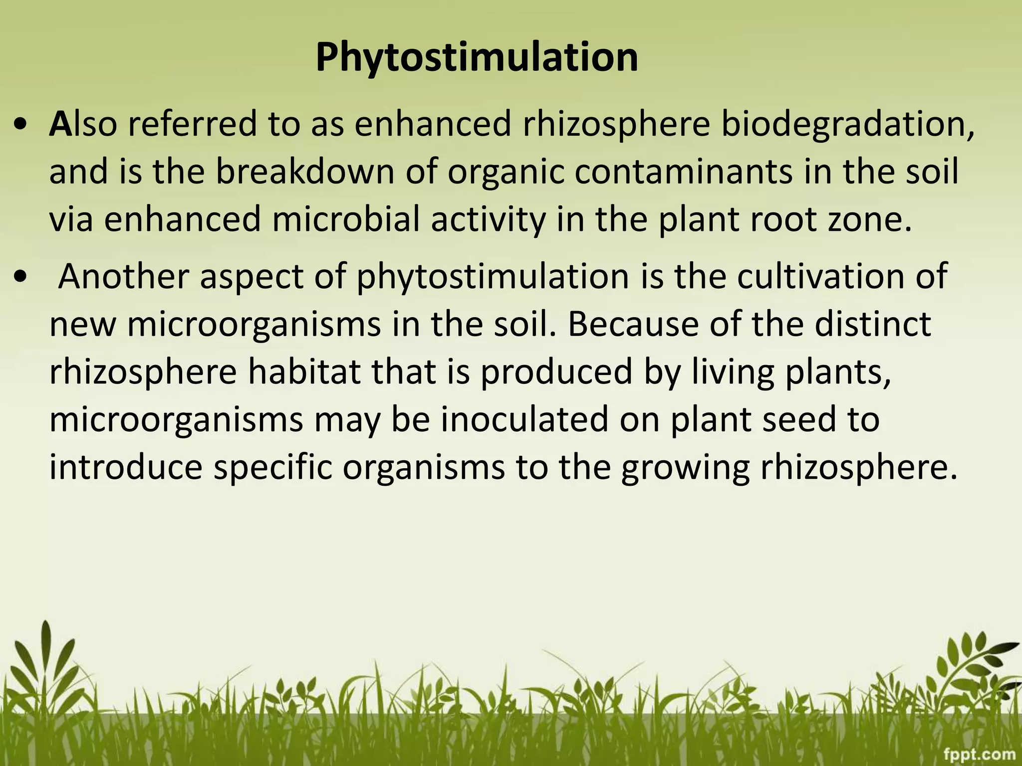 Bioremediation | PPT
