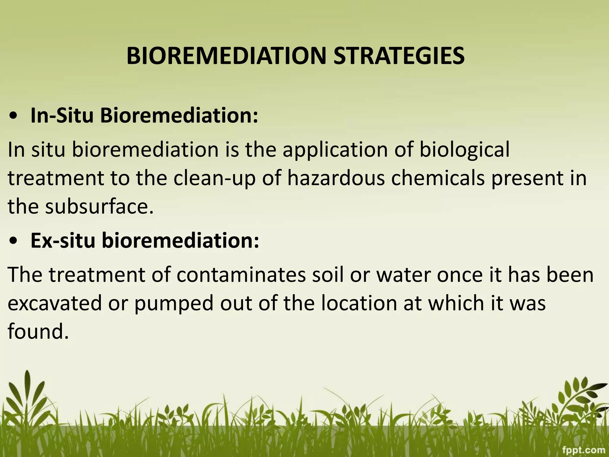 Bioremediation | PPT
