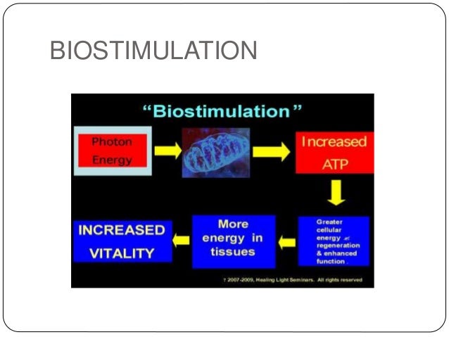 Biostimulation And Bioaugmentation