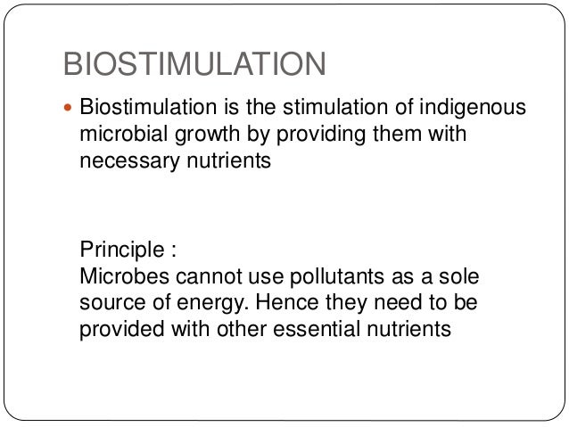 Biostimulation And Bioaugmentation