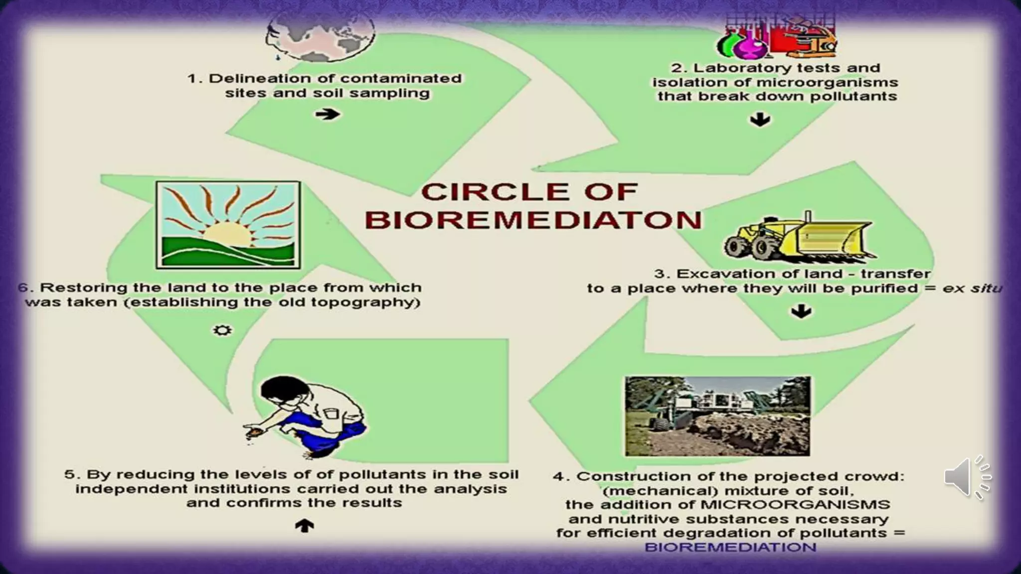 BIOREMEDIATION AND PRODUCTION OF BIO-FUEL.pptx