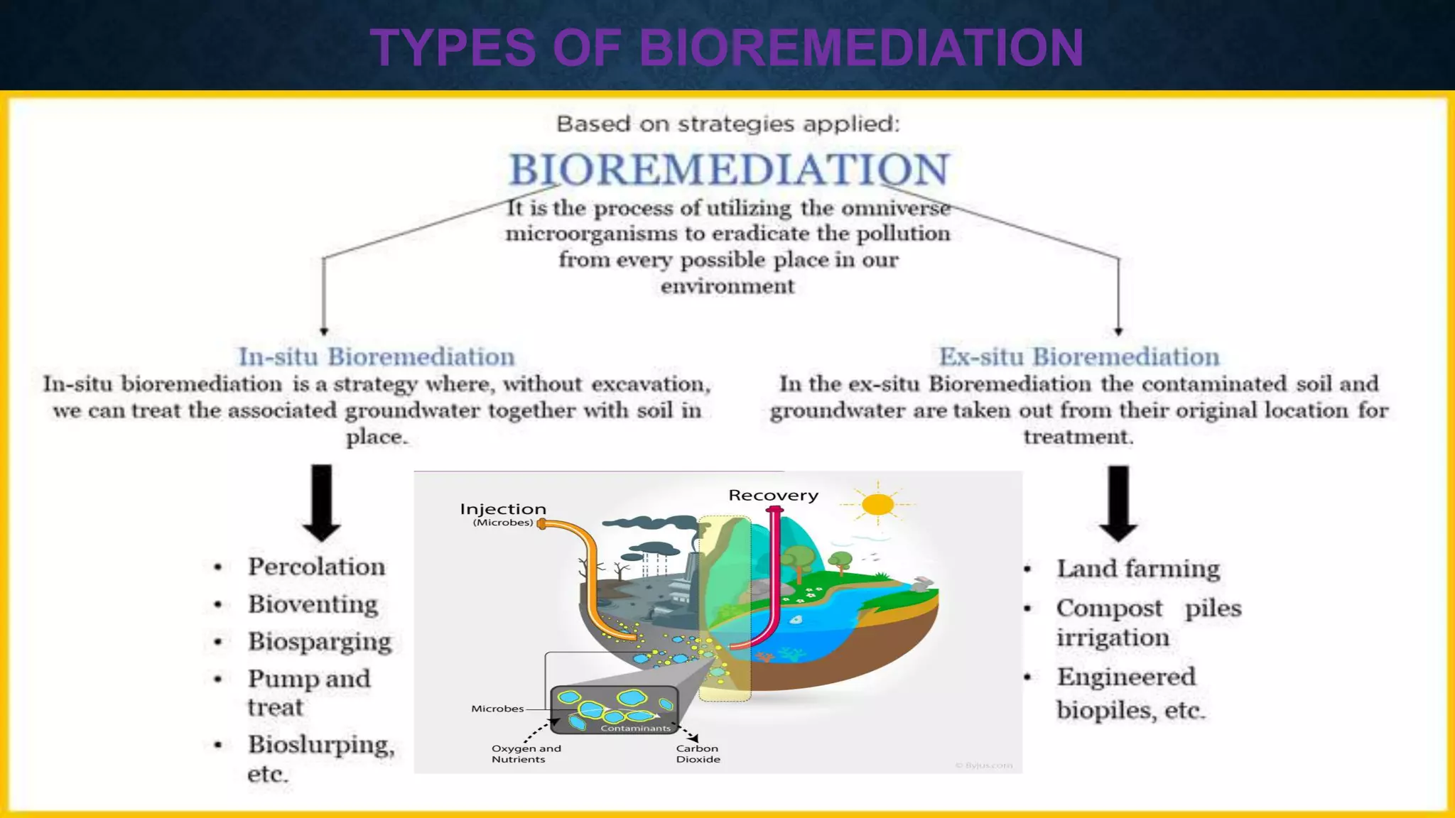 BIOREMEDIATION AND PRODUCTION OF BIO-FUEL.pptx
