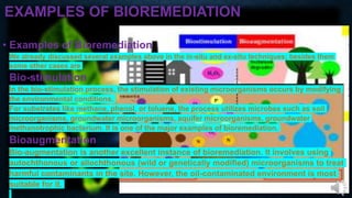 BIOREMEDIATION AND PRODUCTION OF BIO-FUEL.pptx