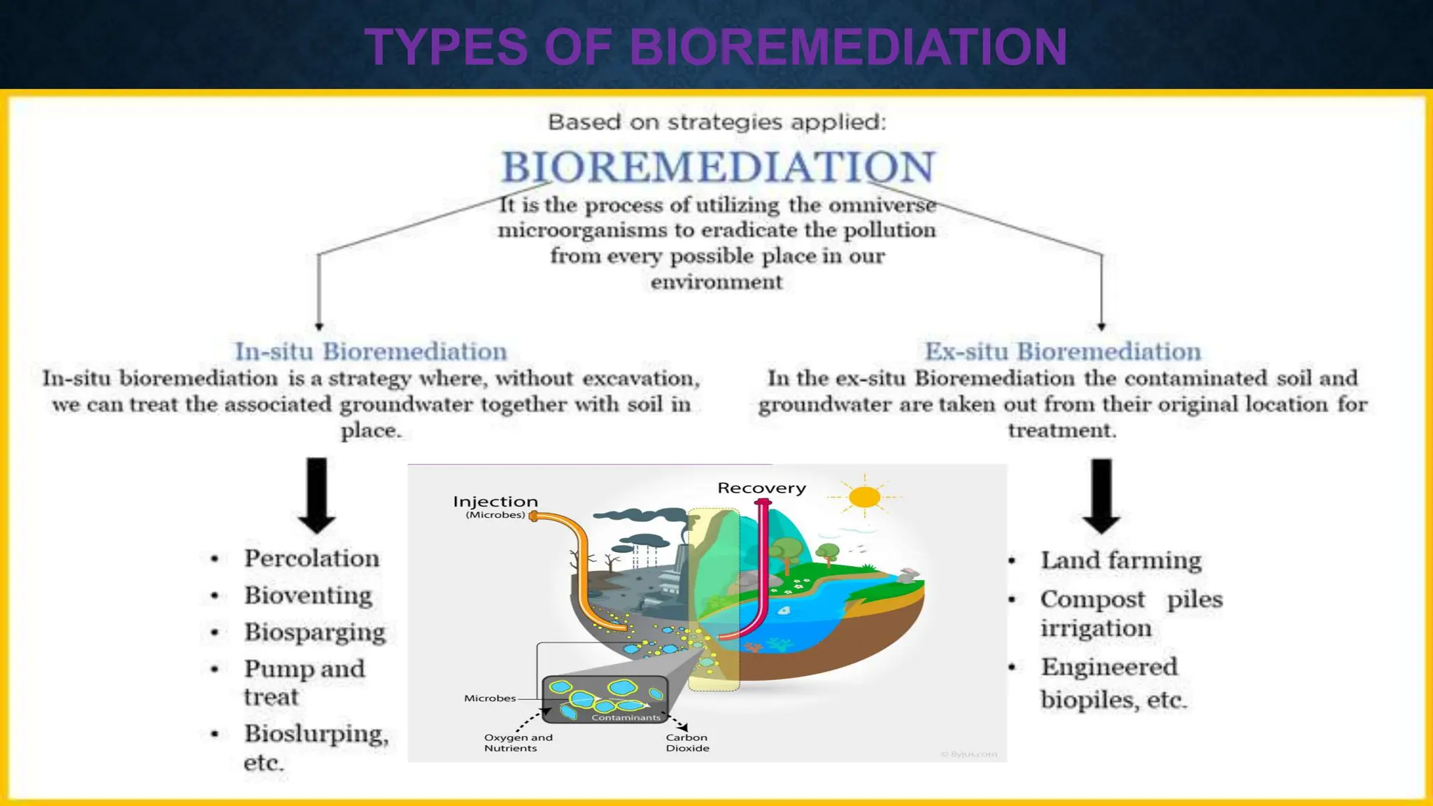 BIOREMEDIATION AND PRODUCTION OF BIO-FUEL (1).pptx
