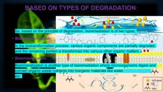 BIOREMEDIATION AND PRODUCTION OF BIO-FUEL (1).pptx