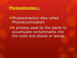 Bioremediation | PPTX