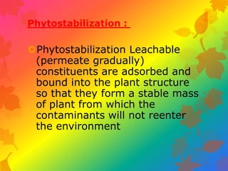 Bioremediation | PPTX