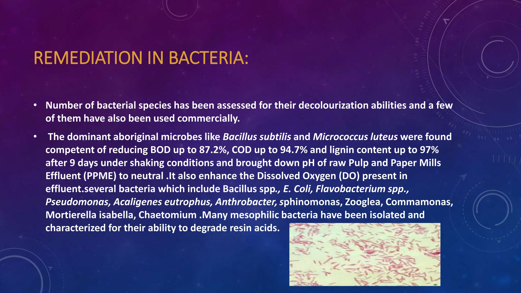 BIOREMEDIATION IN PAPER AND PULP INDUSTRY.pptx | Biotech and Biomedical ...