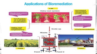 Bioremediation as a treatment method.pdf