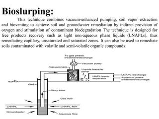 Bioremediation lecture.pptx