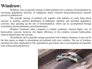 Bioremediation lecture.pptx