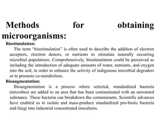 Bioremediation lecture.pptx