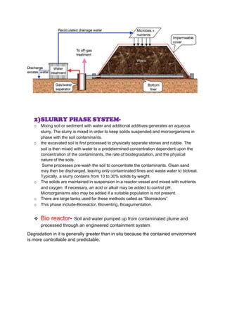 bioremediation, types, diagram, flowchart, Graduation levelnew.docx