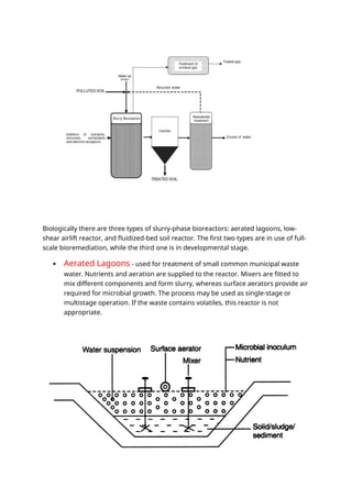 bioremediation, types, diagram, flowchart, Graduation levelnew.docx
