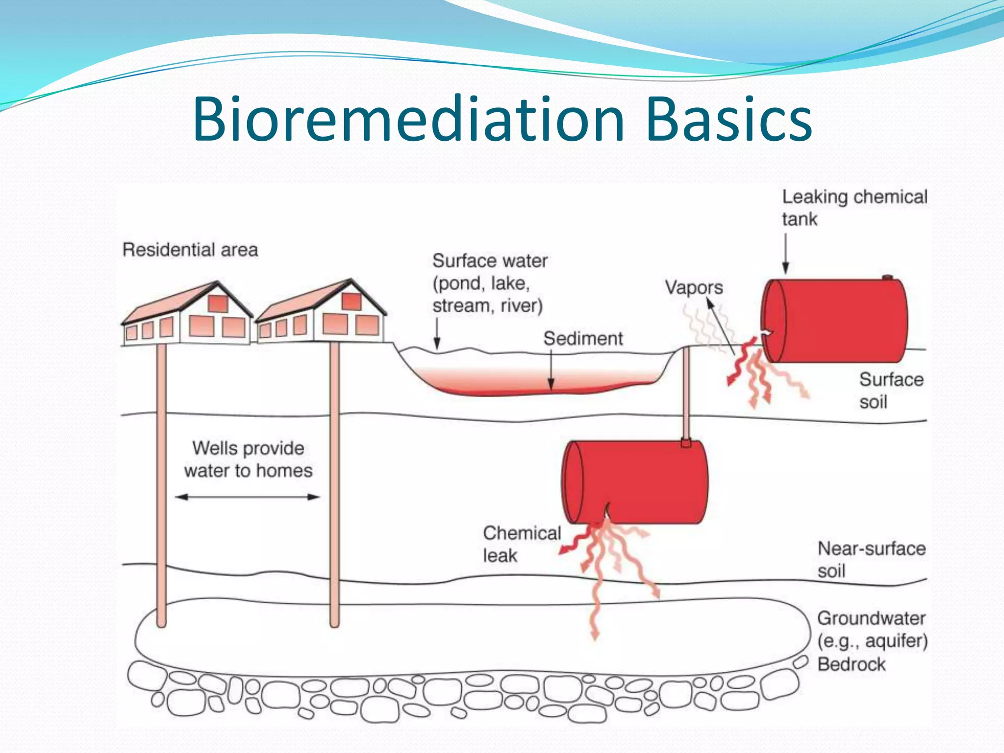 Bioremediation of contaminated soils | PPTX