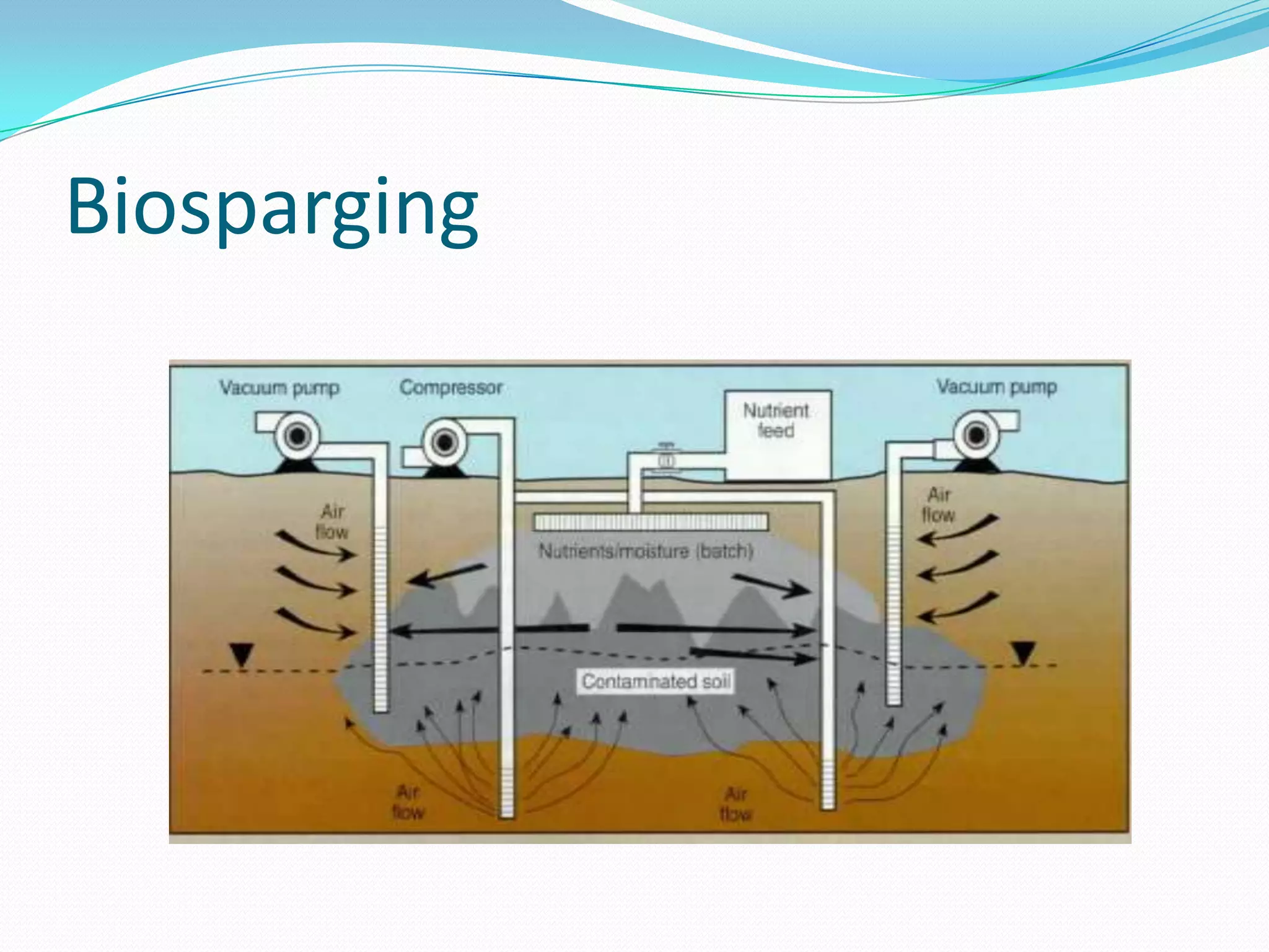 Bioremediation of contaminated soils | PPTX