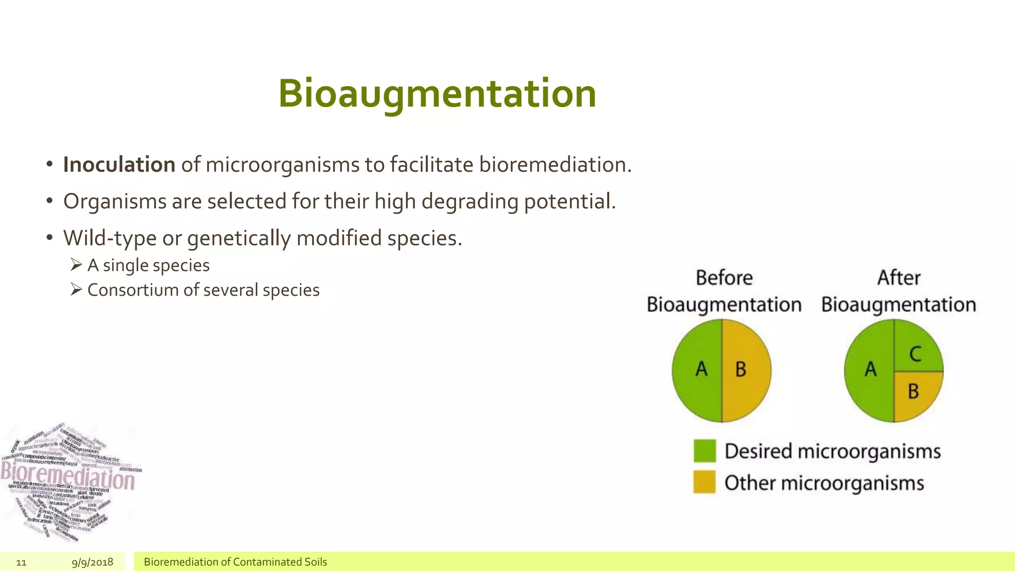 Bioremediation of contaminated soils | PPTX