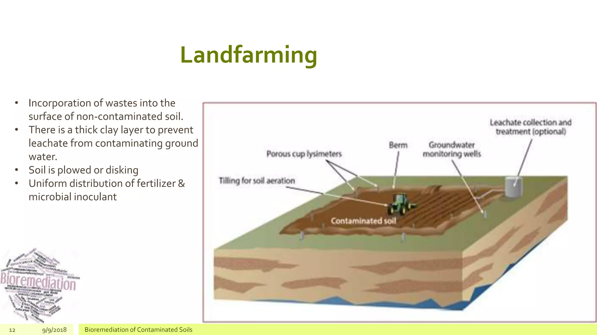 Bioremediation of contaminated soils | PPTX