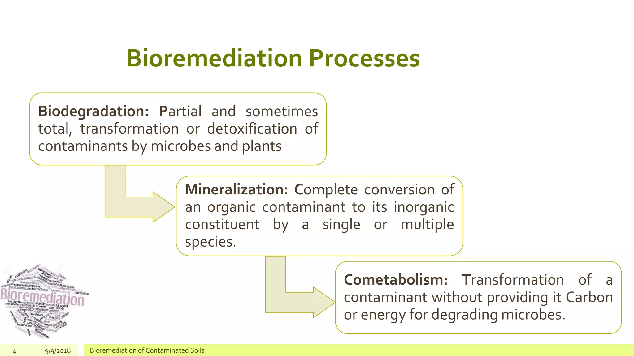 Bioremediation of contaminated soils | PPTX