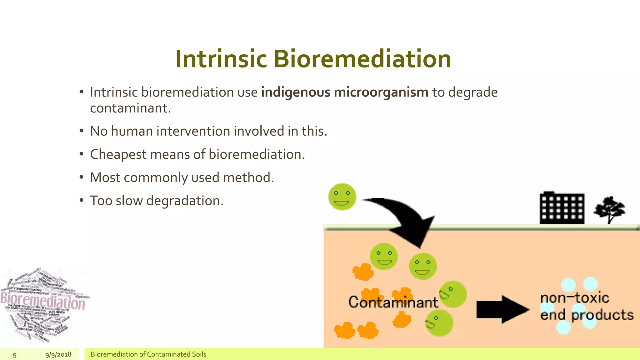 Bioremediation of contaminated soils | PPTX