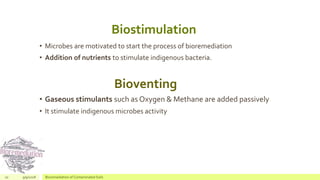 Bioremediation of contaminated soils | PPTX | Gardening | Home & Garden