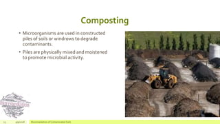 Bioremediation of contaminated soils | PPTX | Gardening | Home & Garden