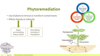 Bioremediation of contaminated soils | PPTX