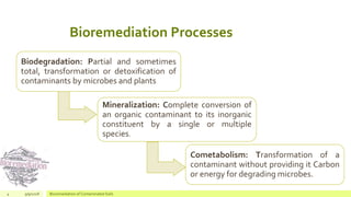Bioremediation of contaminated soils | PPTX