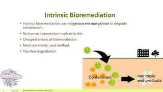 Intrinsic Bioremediation
