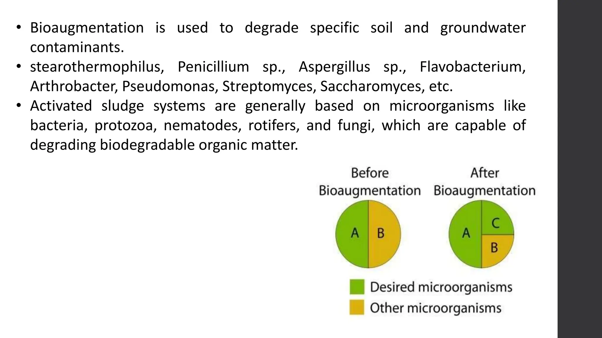 bioremediation_of_contaminated_soils_ppt.pptx