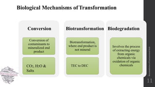 bioremediation_of_contaminated_soils_ppt.pptx